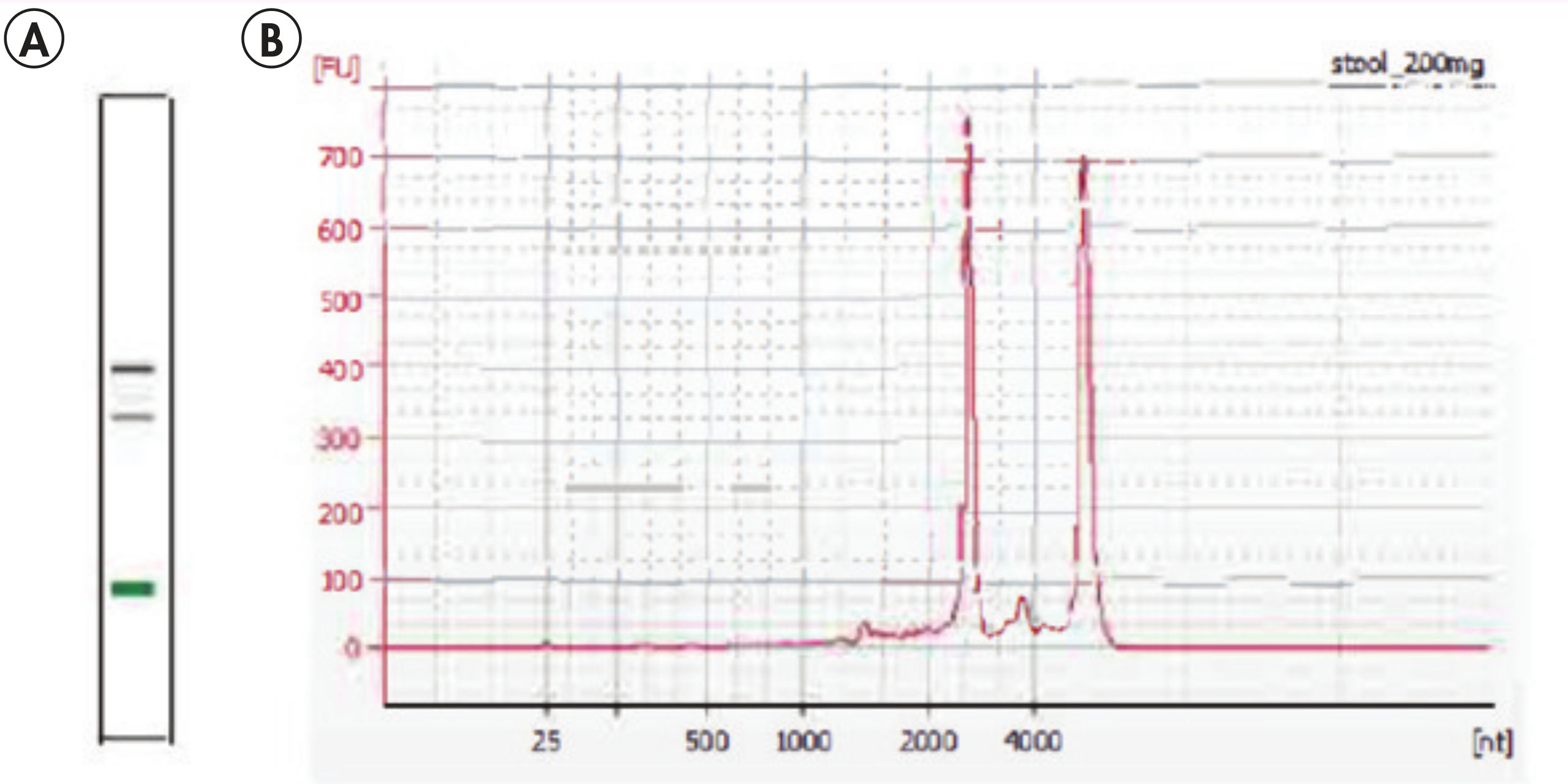 RNeasy PowerMicrobiome Kit | Gut Microbiome RNA | QIAGEN