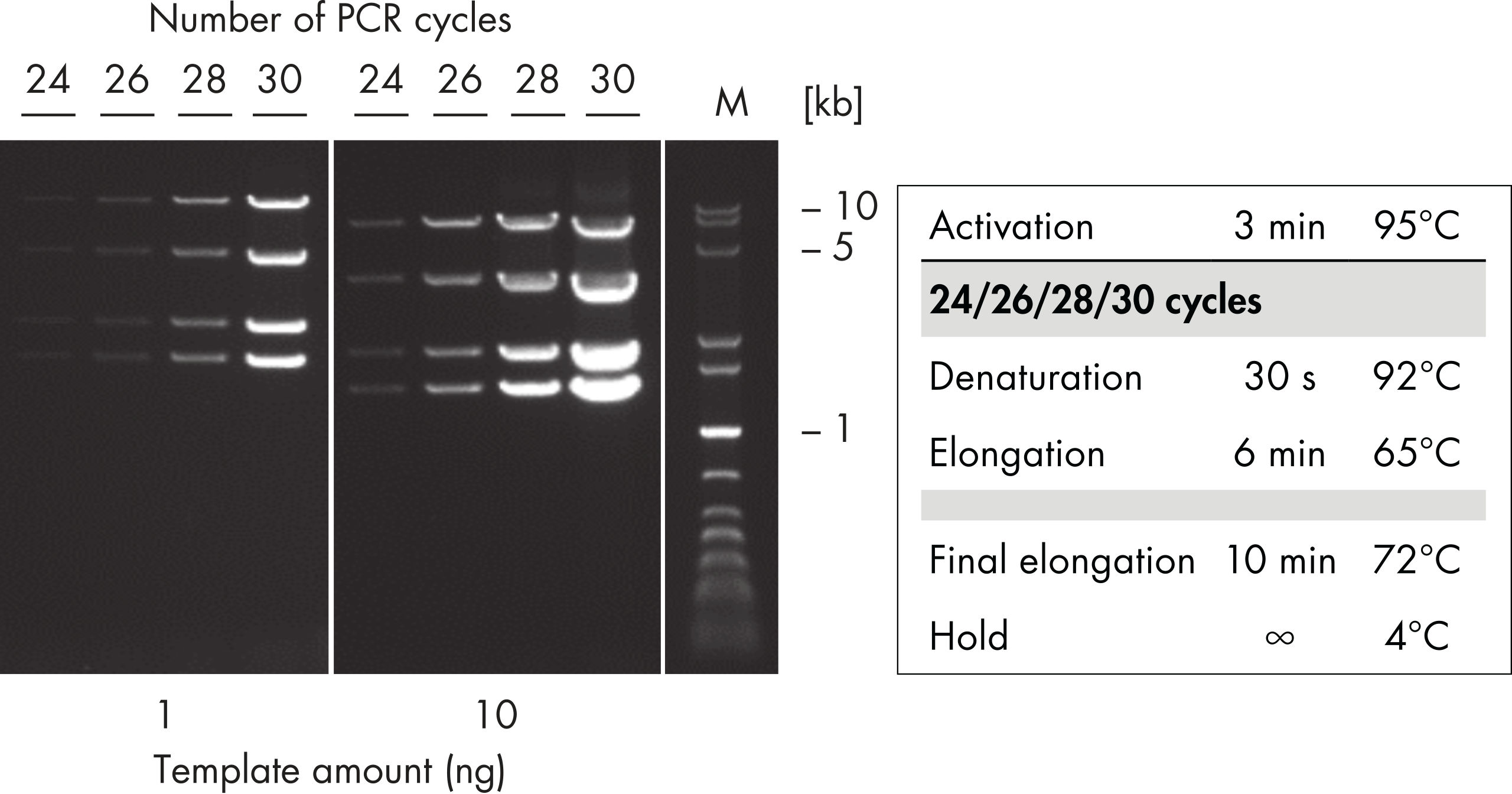 UltraRun LongRange PCR Kit
