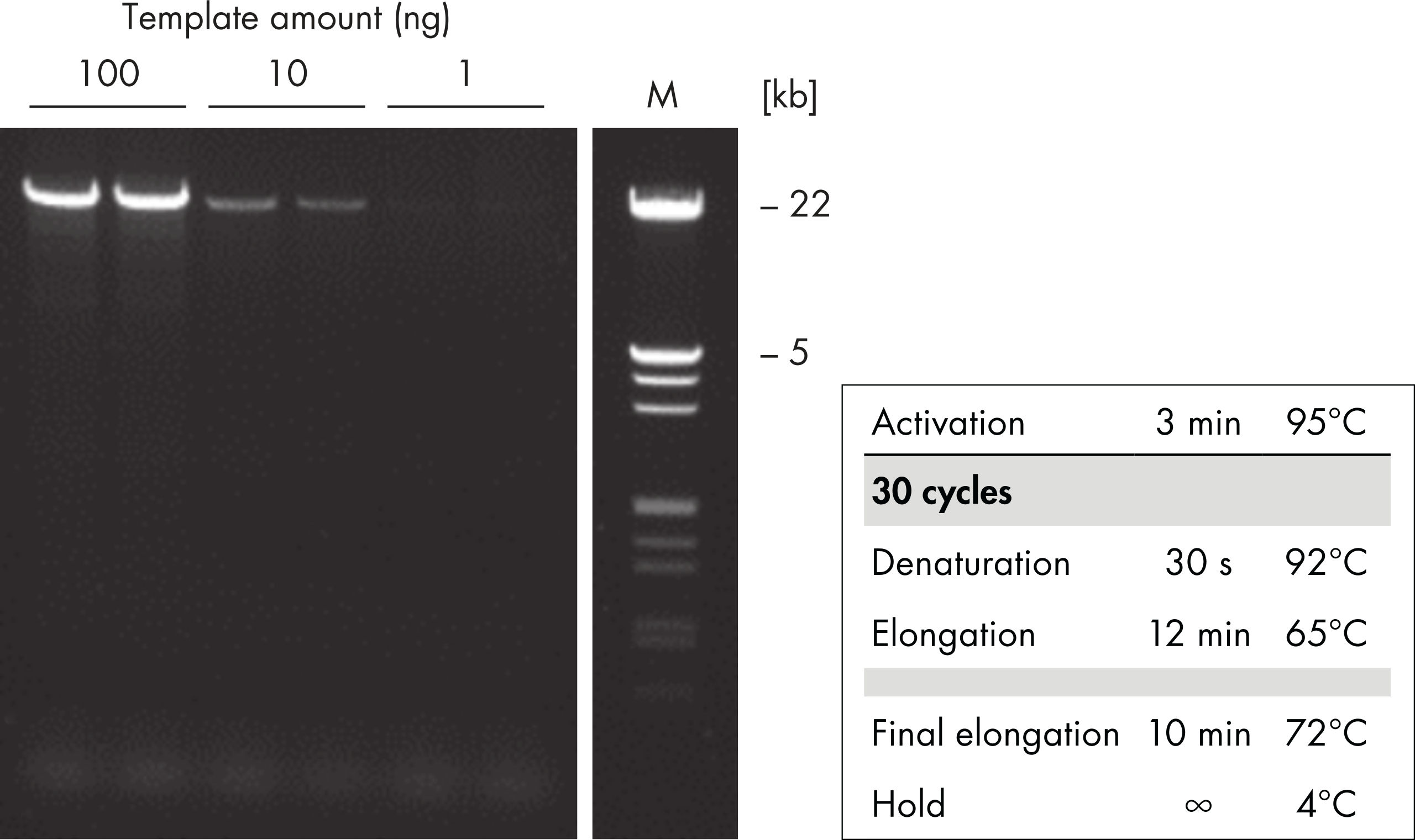UltraRun LongRange PCR Kit