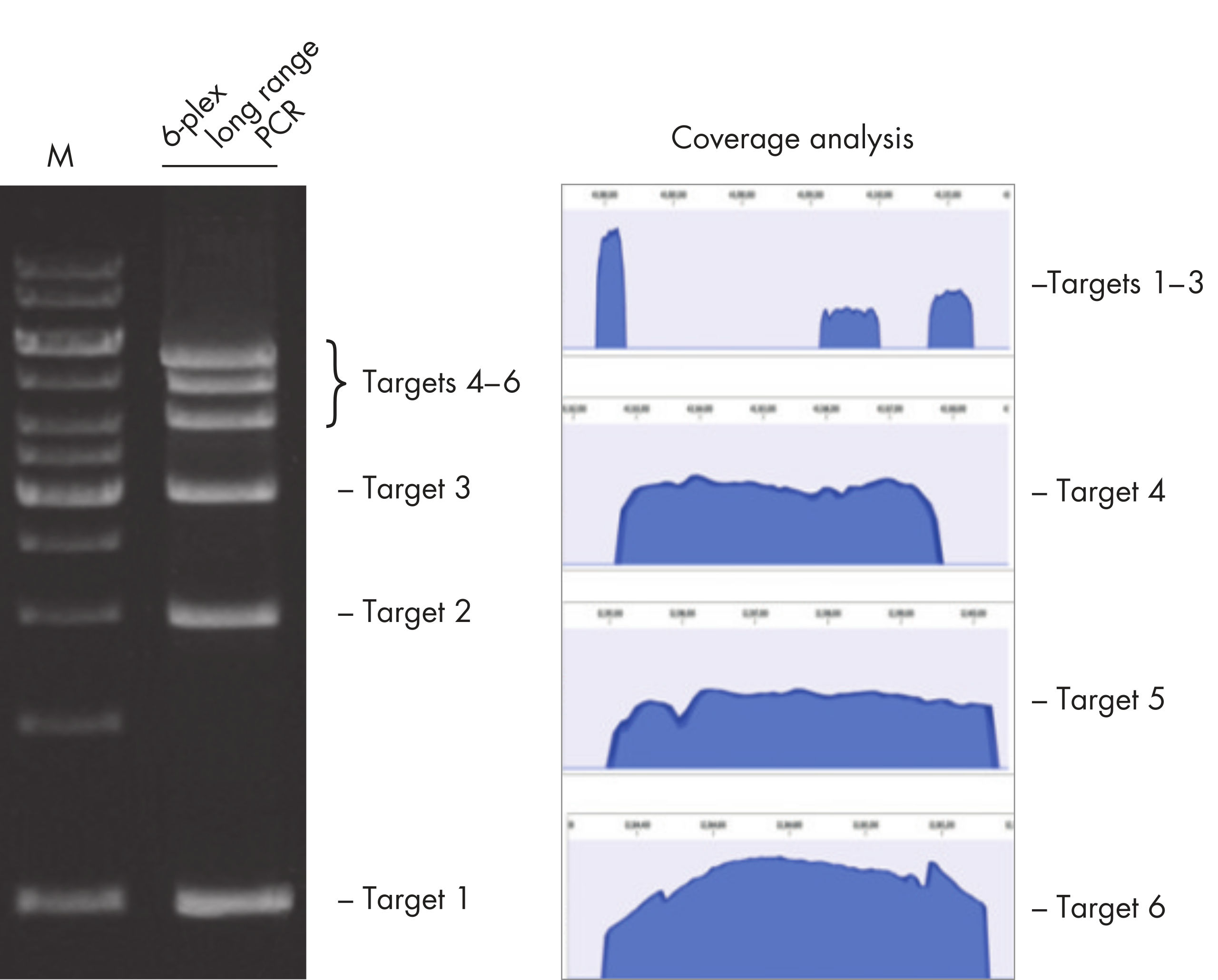 UltraRun LongRange PCR Kit