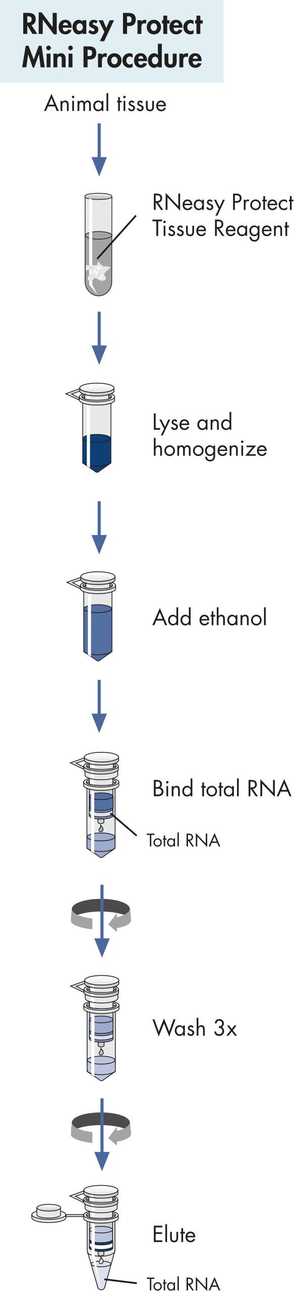 RNeasy Protect Kits | RNA Stabilization/Isolation | QIAGEN