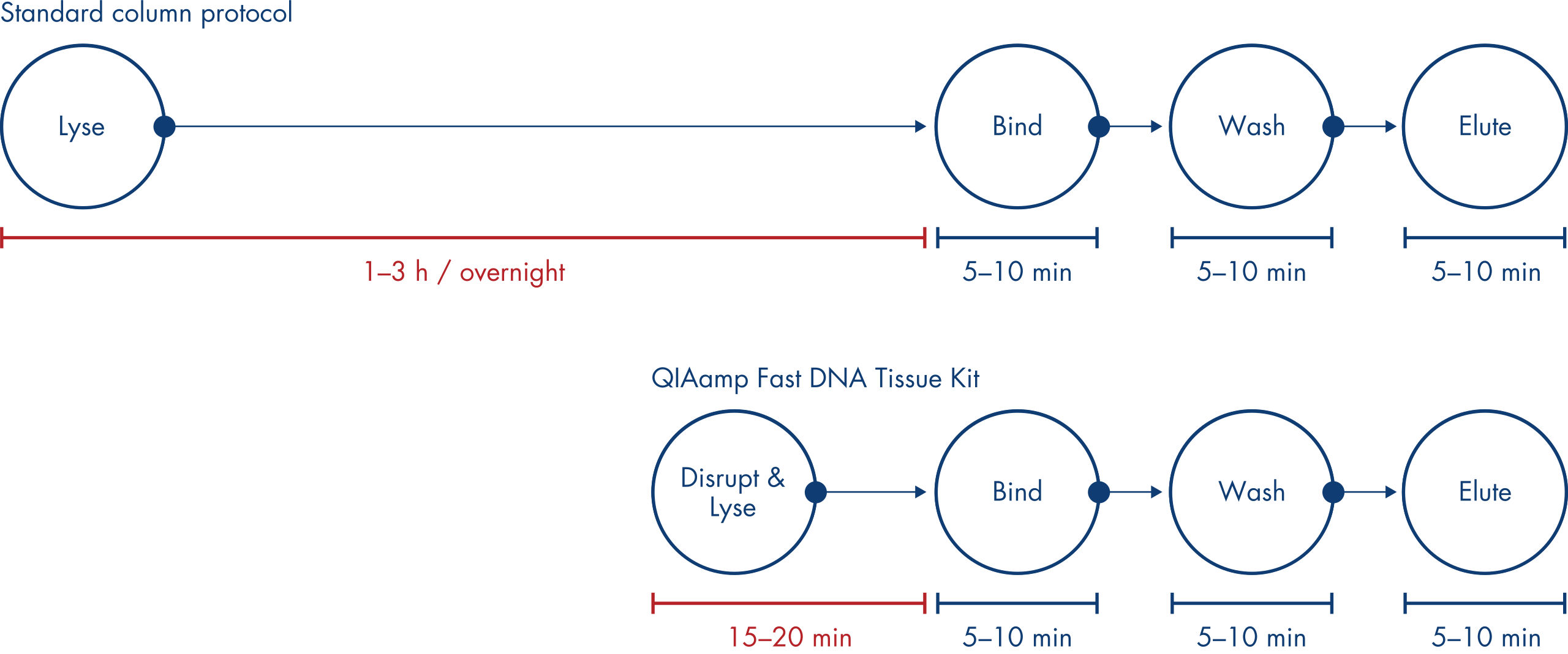 QIAamp Fast DNA Tissue Kit