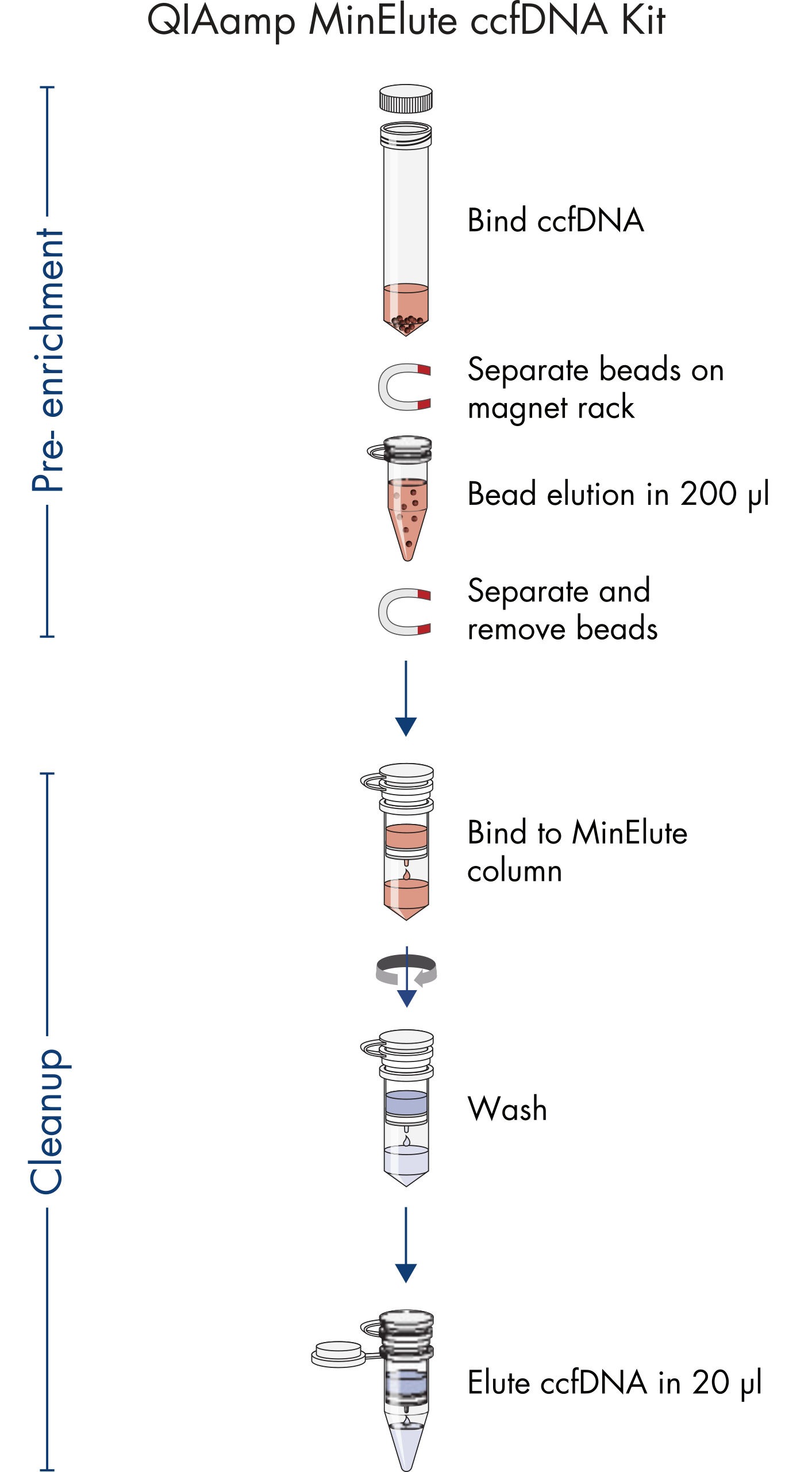 QIAamp MinElute ccfDNA Mini Kit (50)-磁珠法提取-重庆四鼎生物技术有限公司网站