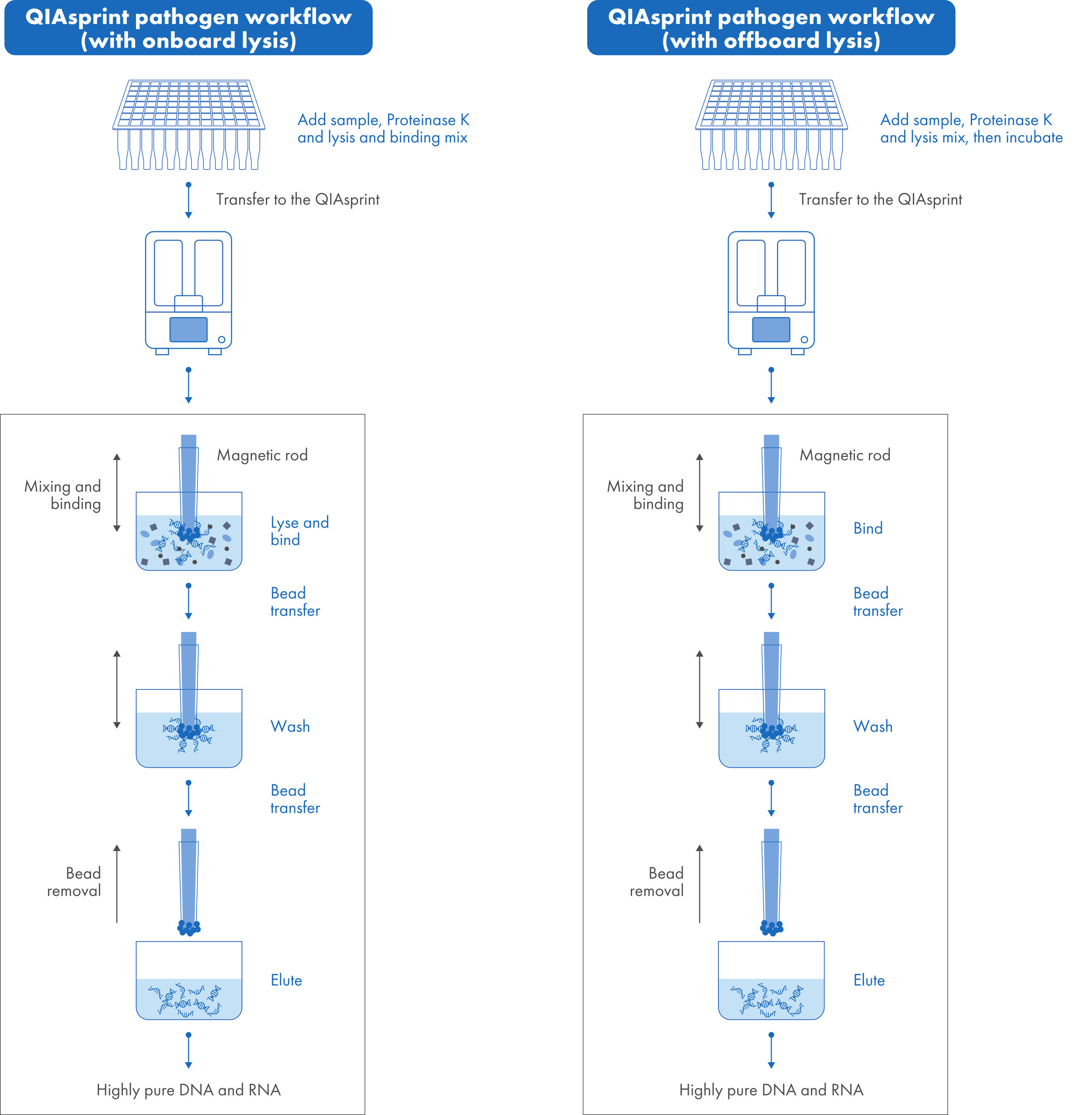 QIAsprint workflow for pathogen nucleic acid isolation