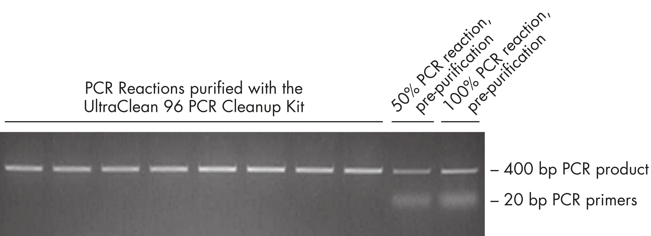 UltraClean 96 PCR Cleanup Kit