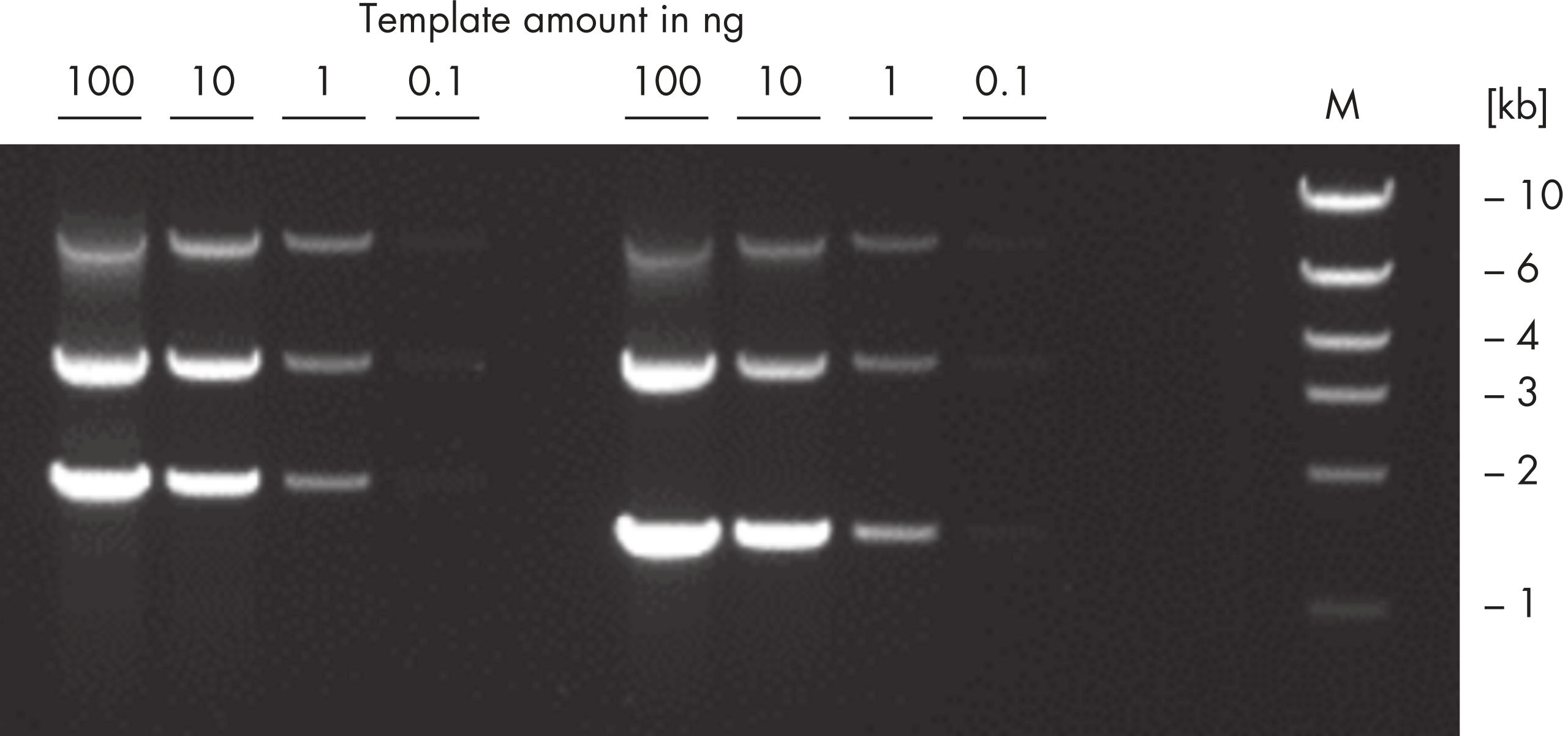 UltraRun LongRange PCR Kit