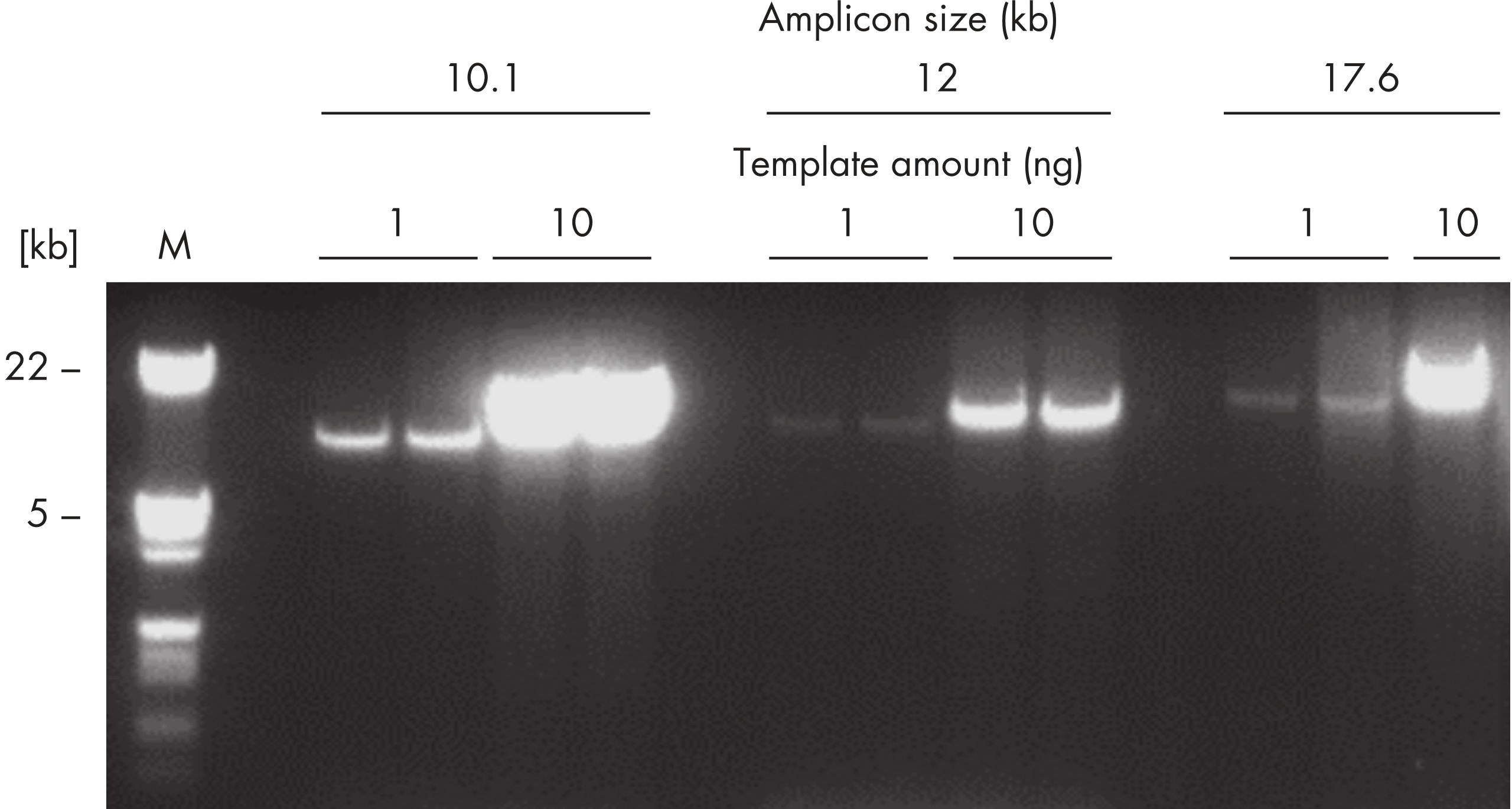 UltraRun LongRange PCR Kit