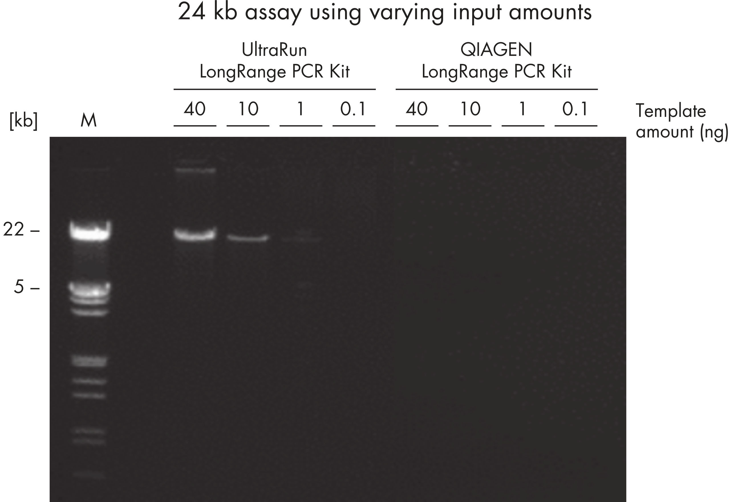 UltraRun LongRange PCR Kit