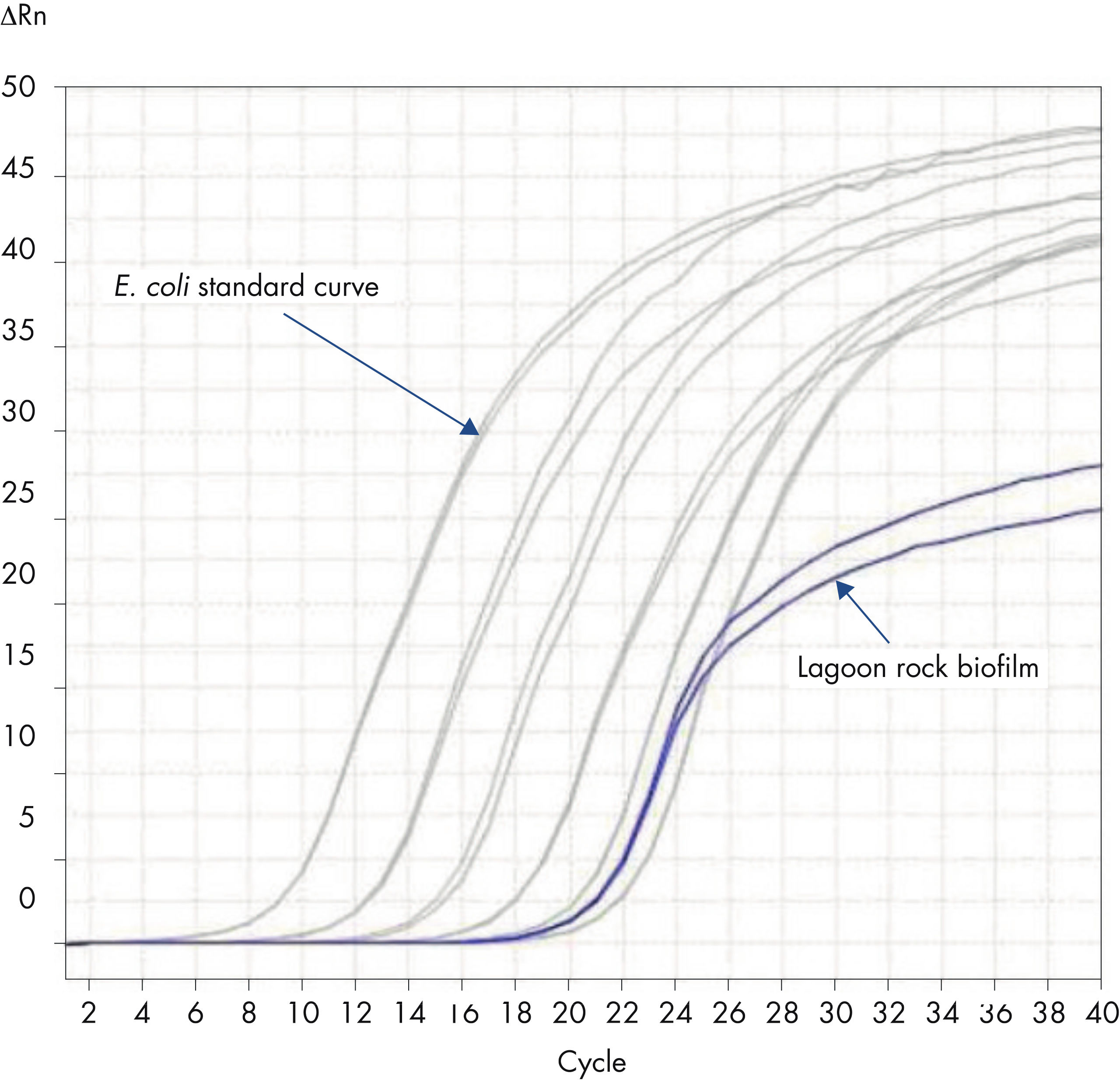 RNeasy PowerBiofilm Kit | Biofilm RNA Isolation | QIAGEN