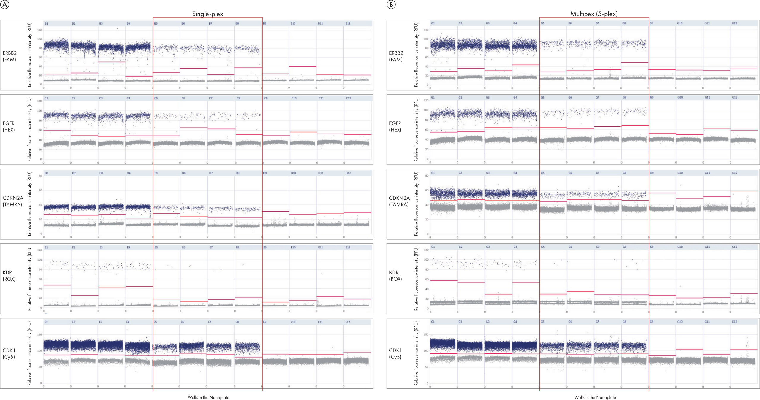 QIAcuity Digital PCR System | QIAGEN