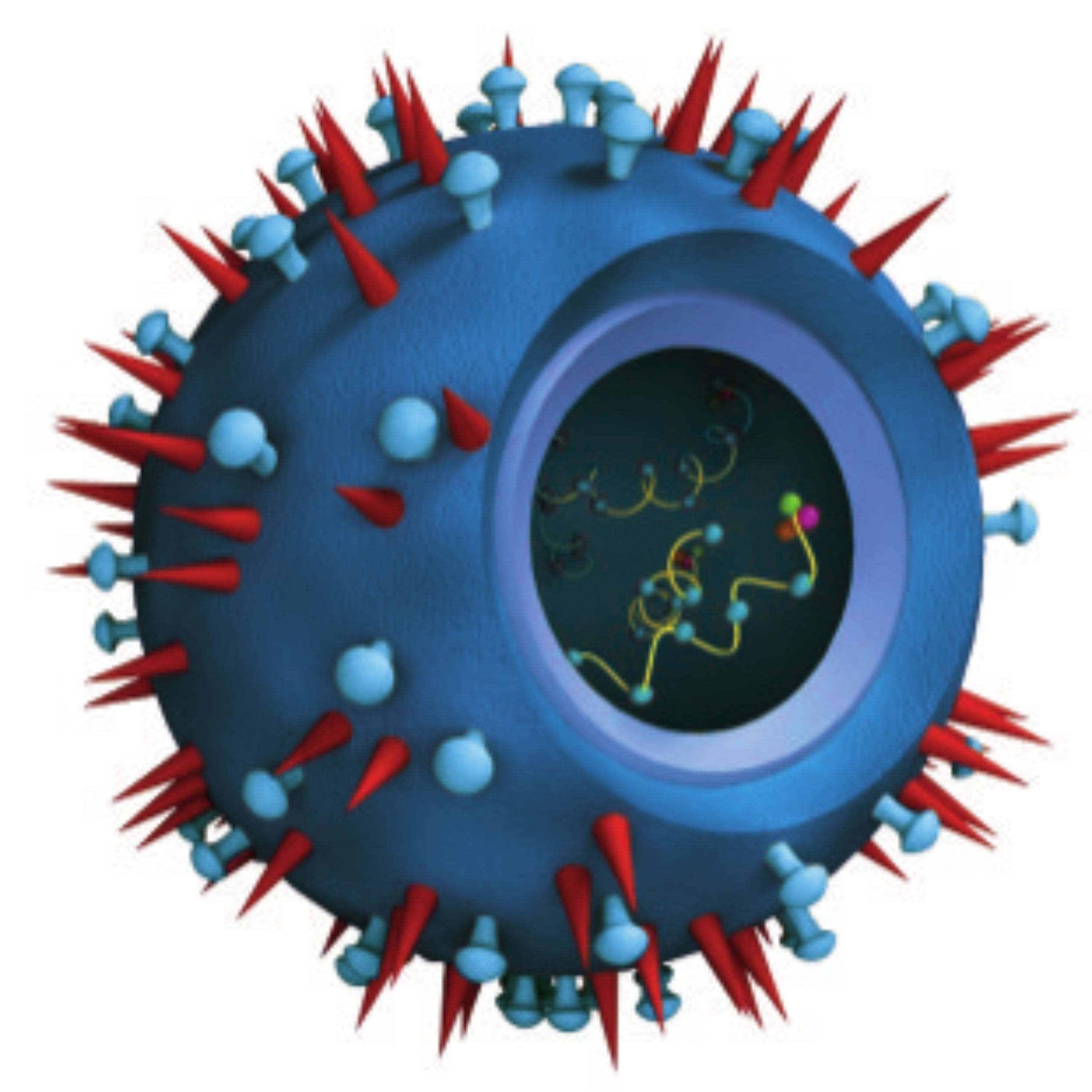 artus Infl. A/B/H1 QS-RGQ Kit CE