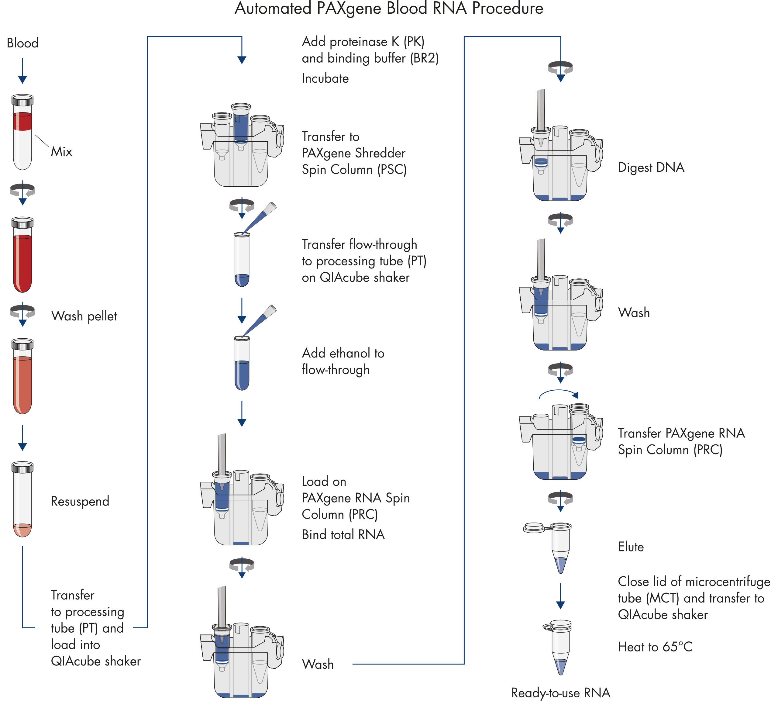 PAXgene Blood RNA Kit