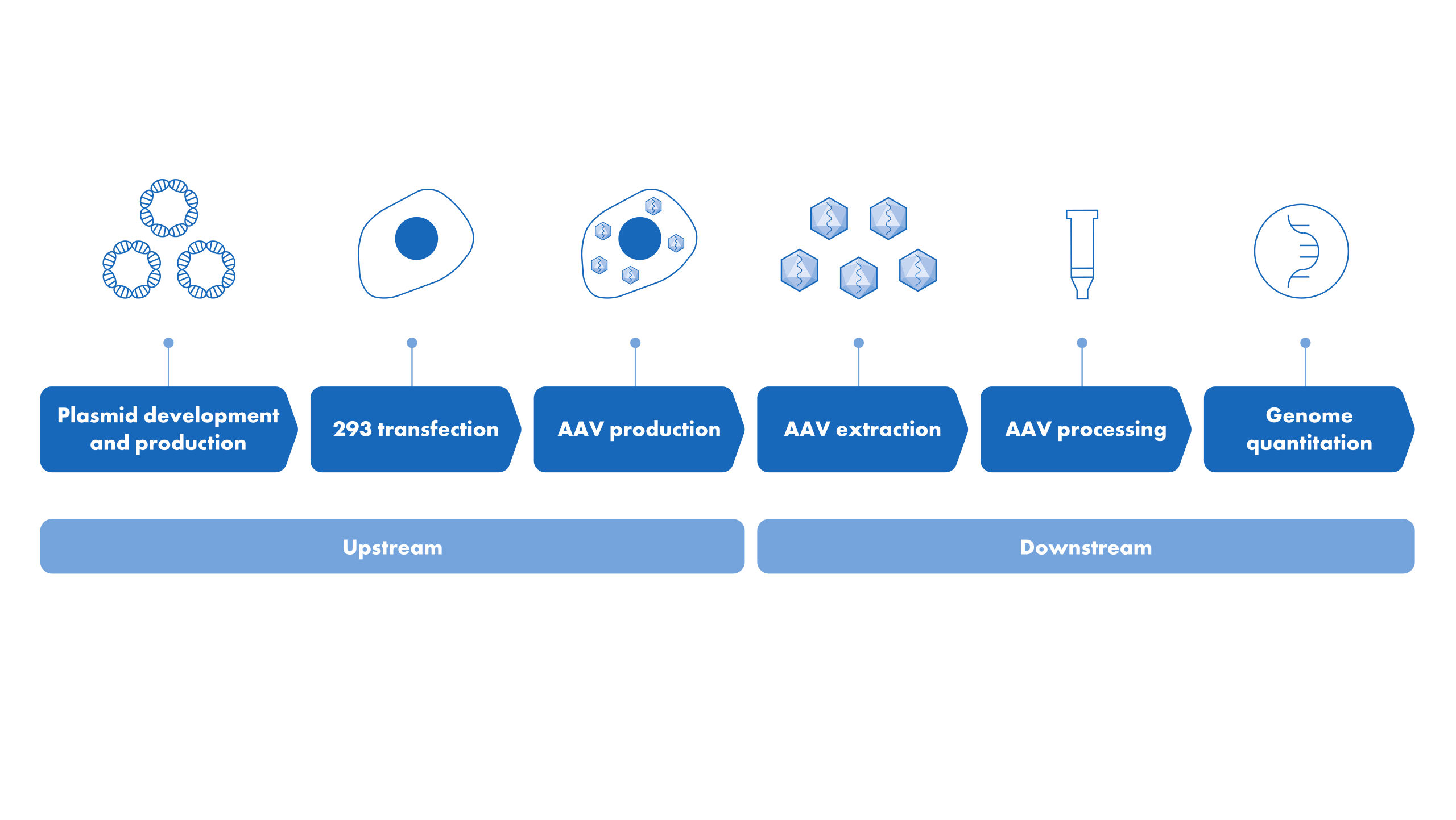 QIAcuity Residual DNA Quantification Kits | QIAGEN