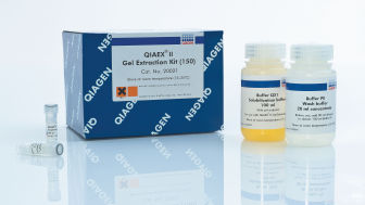 Qiagen Pcr Purification Kit Qiagen QIAquick 96 PCR Purification Kit